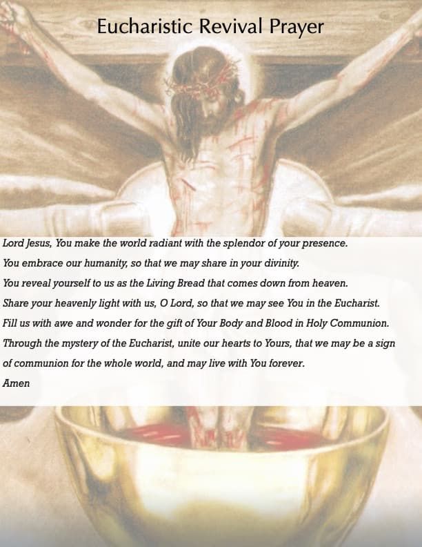 Sacred Heart Catholic Church - Auburn Hills, MI | Welcome